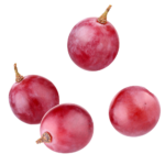 Our Story - First Quality Produce