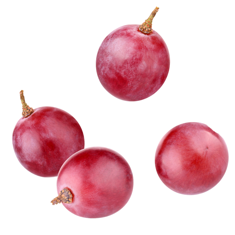 Our Story - First Quality Produce