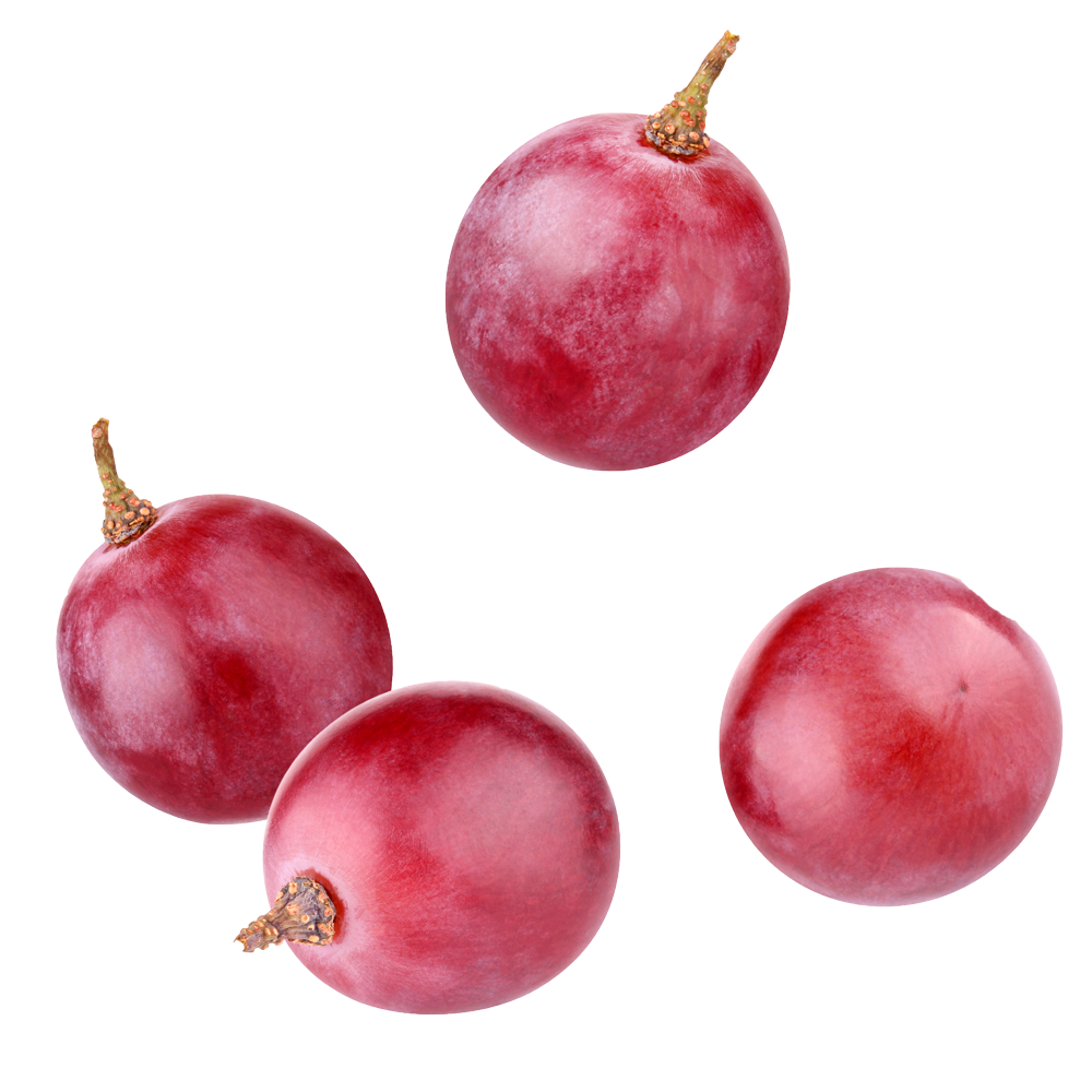 Our Story - First Quality Produce