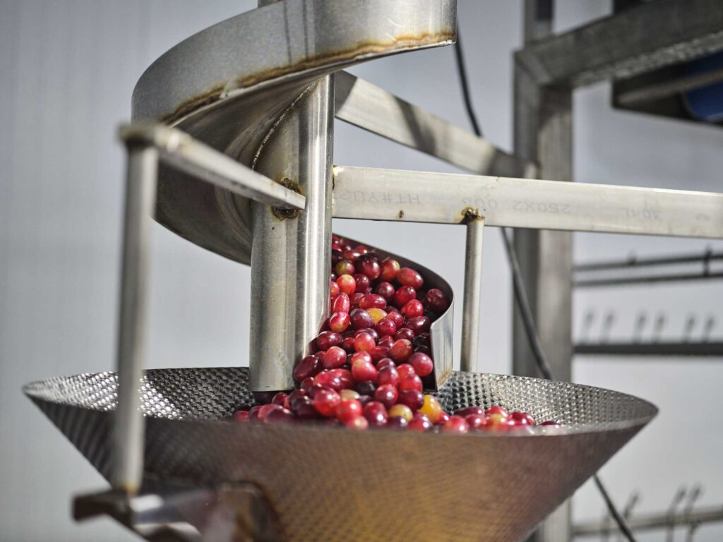 Our Story - First Quality Produce